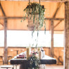 Gallery | White Birch Barn & Vineyard